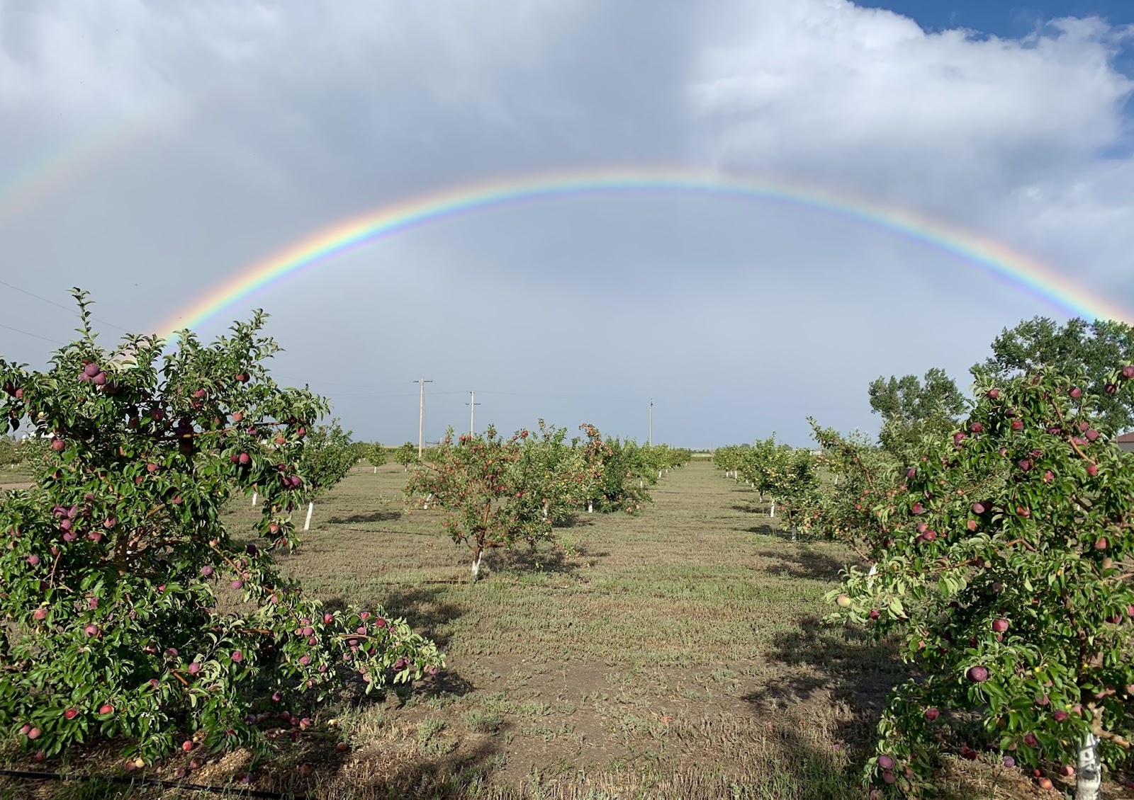 32 Best Things to Do in Denver in Fall - Delicious Denver Food Tours