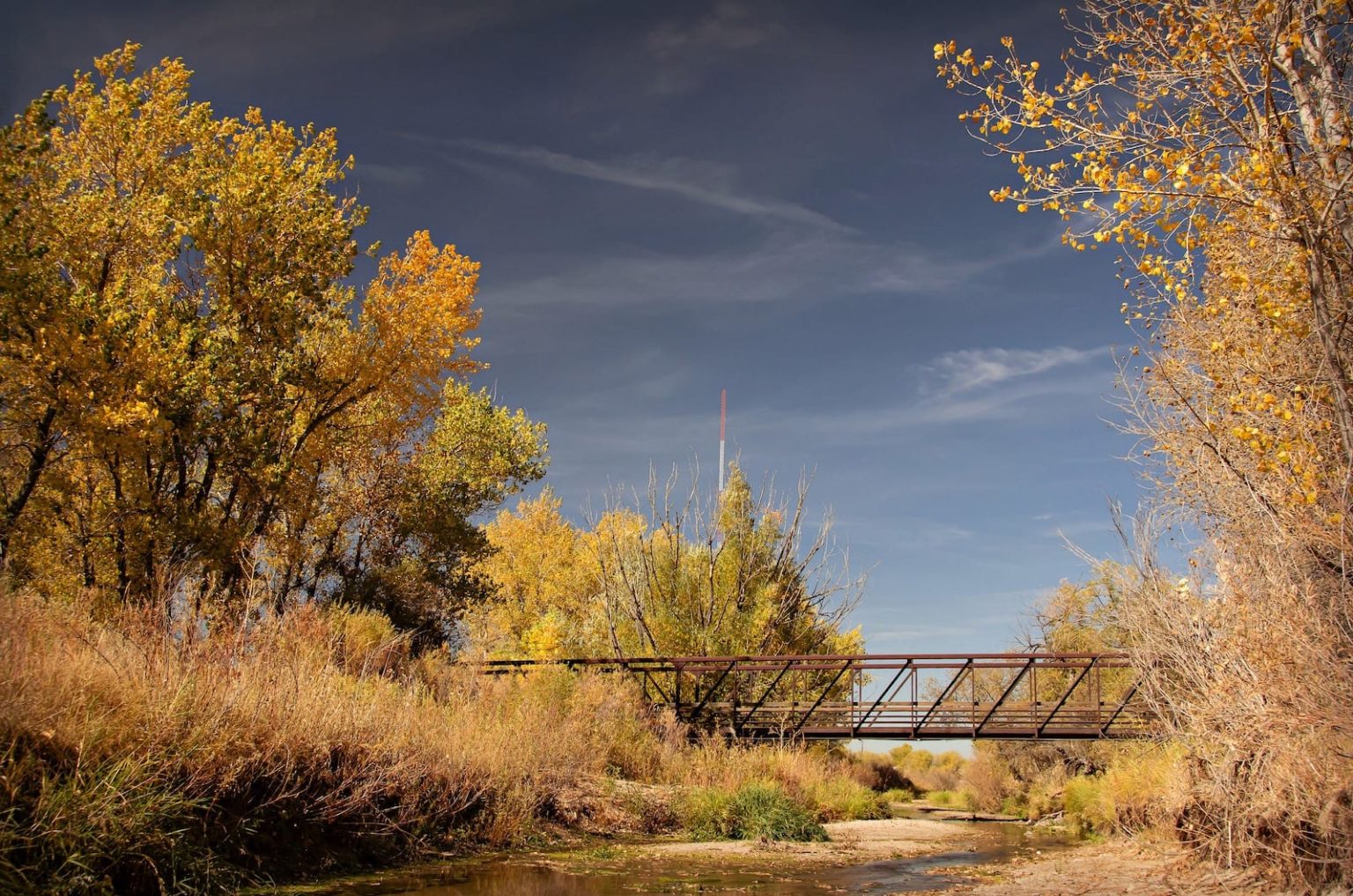 32 Best Things to Do in Denver in Fall - Delicious Denver Food Tours