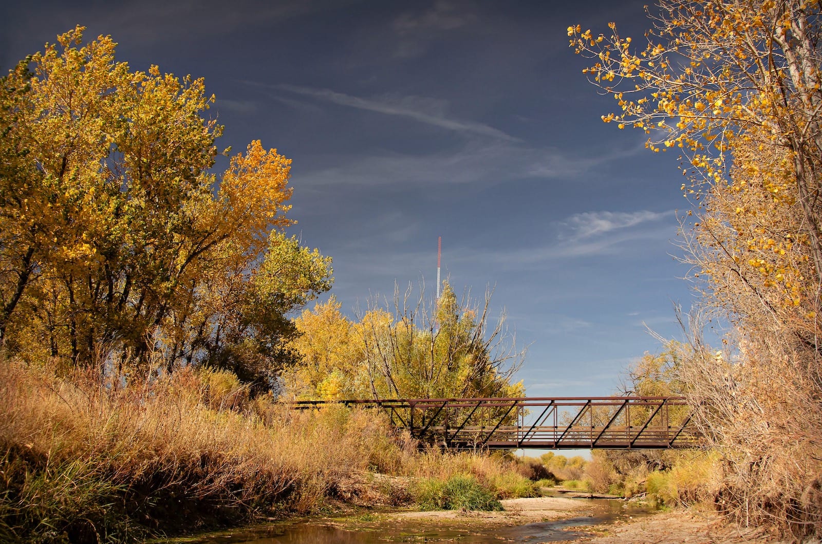 32 Best Things to Do in Denver in Fall - Delicious Denver Food Tours