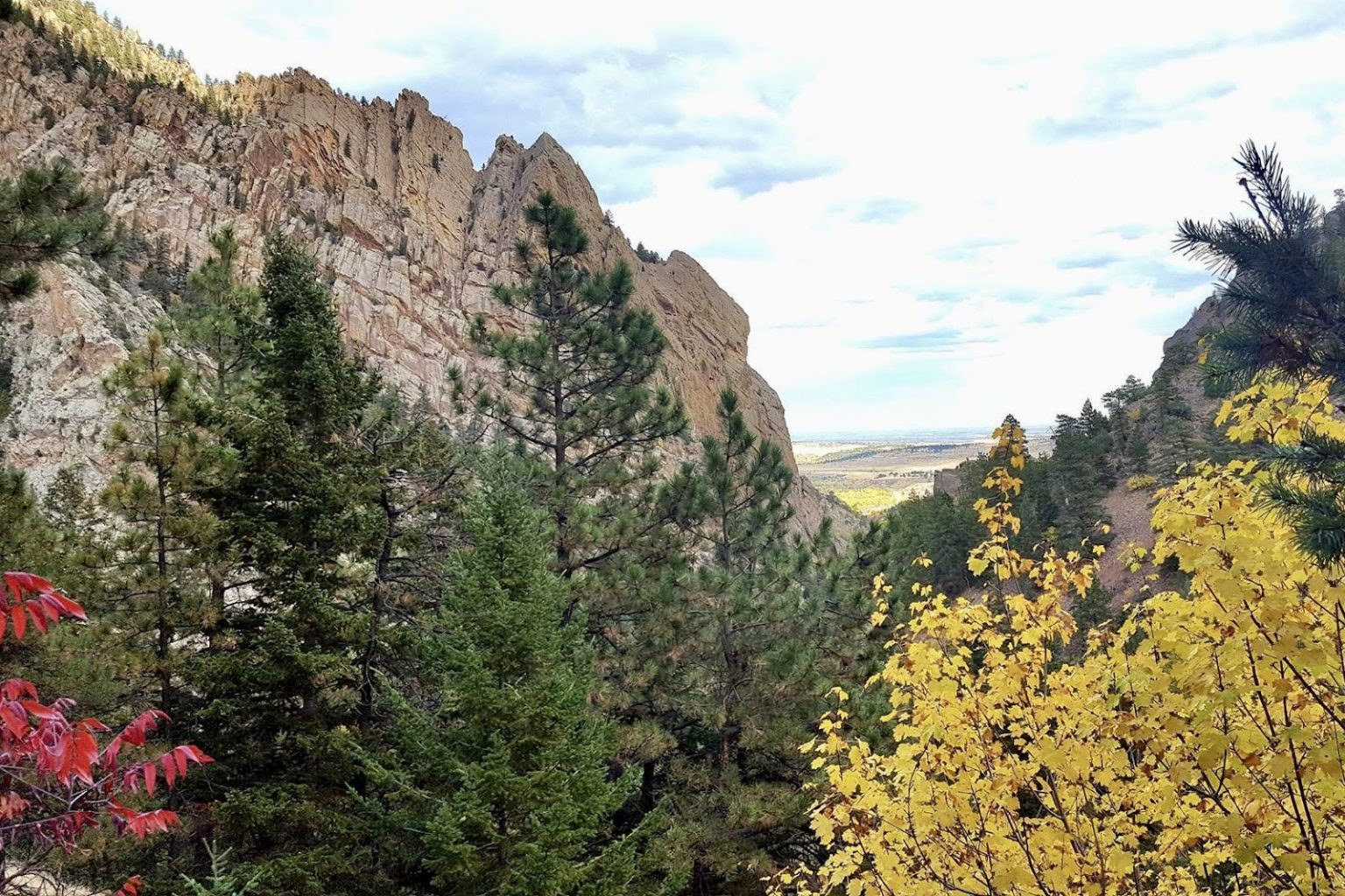 32 Best Things to Do in Denver in Fall - Delicious Denver Food Tours