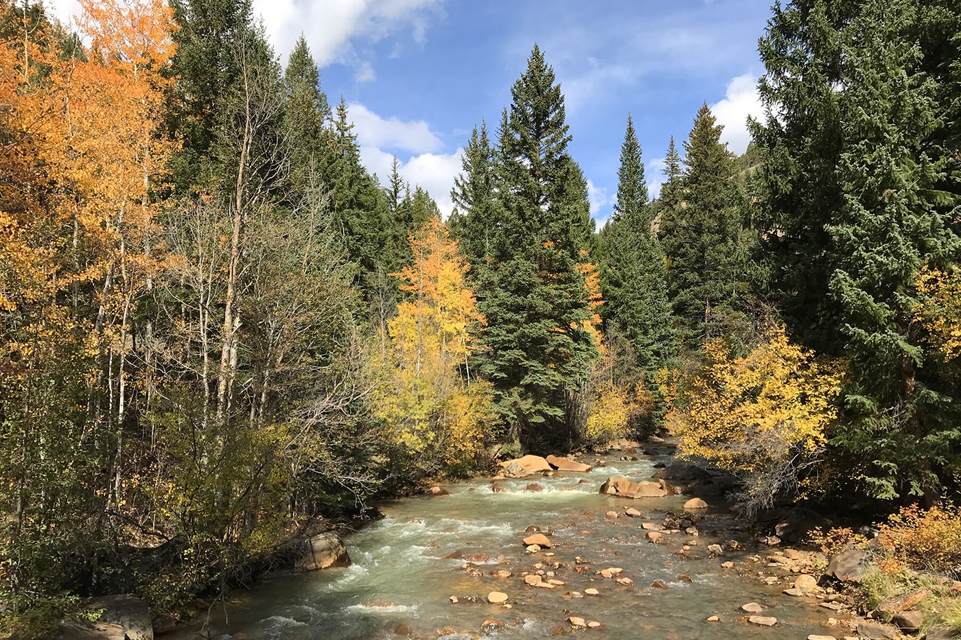 32 Best Things to Do in Denver in Fall - Delicious Denver Food Tours