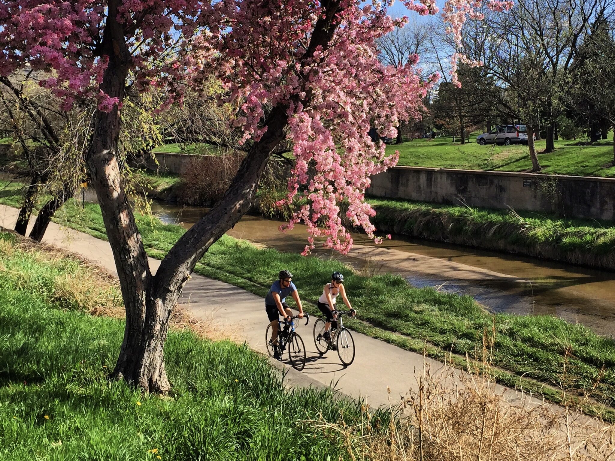 31 Best Things to Do in Denver in Spring - Delicious Denver Food Tours