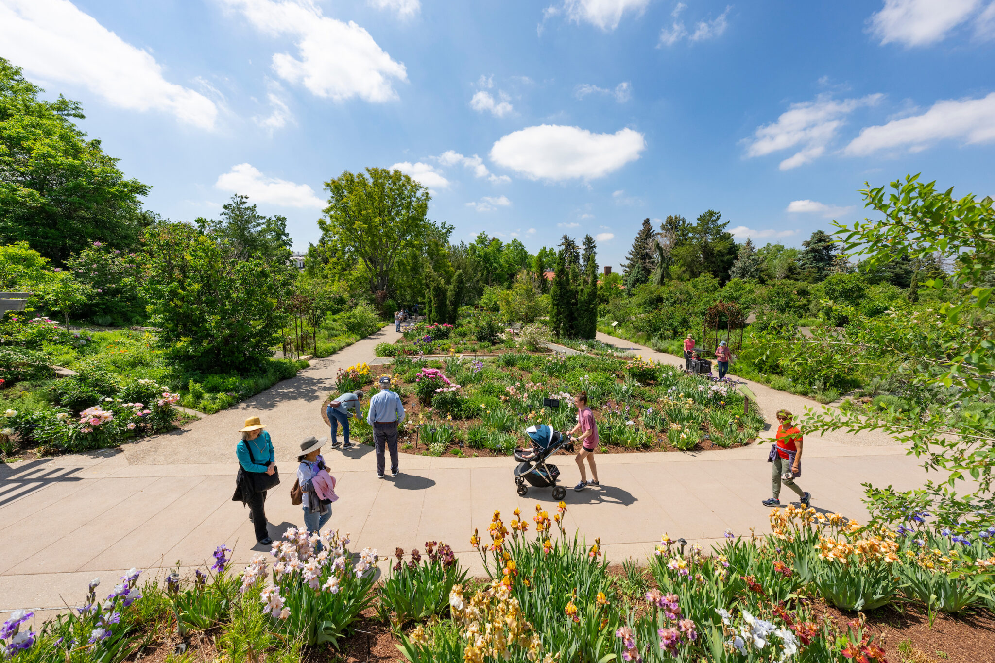 Denver Botanic Gardens vs. Denver Food Tour: Which is best?