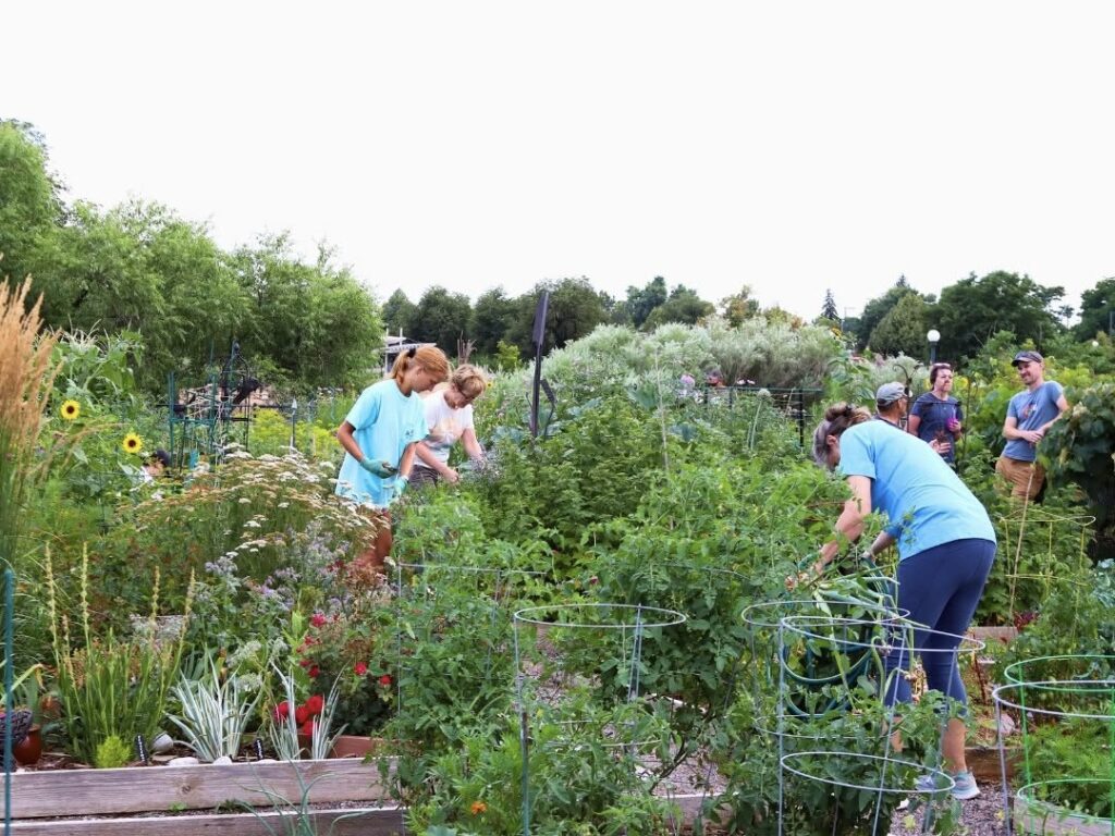 31 Best Things to Do in Denver in Spring - Delicious Denver Food Tours