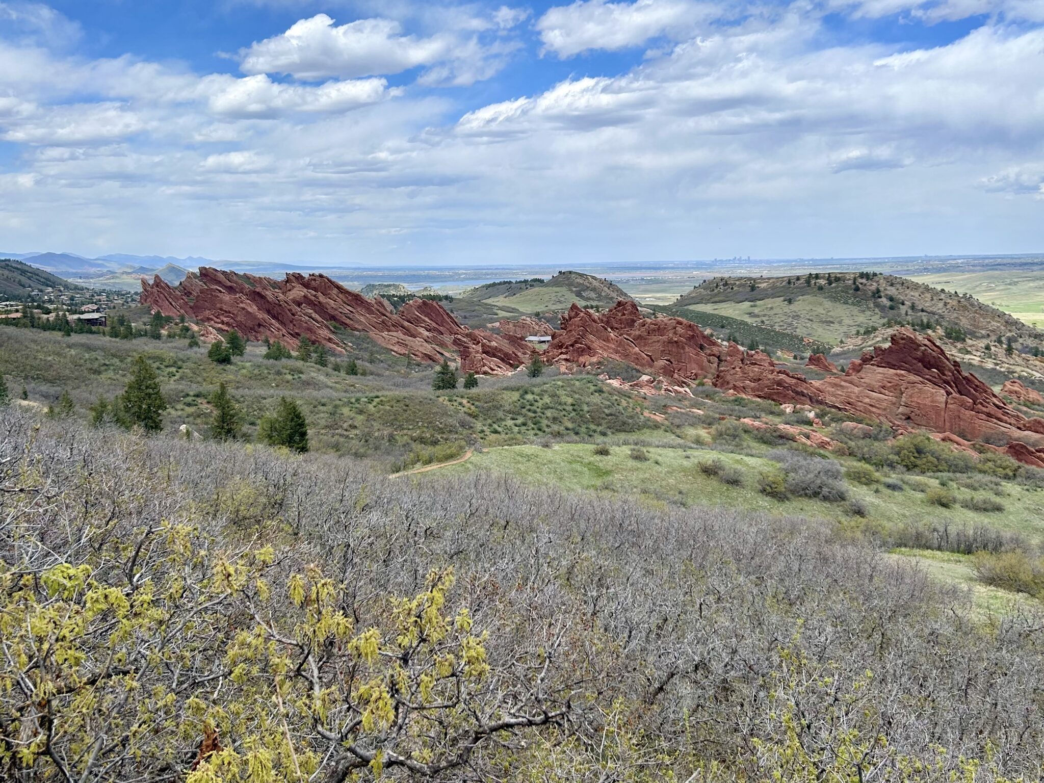 31 Best Things to Do in Denver in Spring - Delicious Denver Food Tours